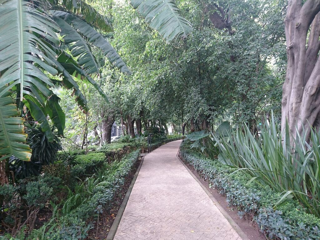 Rentar un departamento en la Condesa, la mejor decisión Acerca del ...